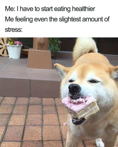 20 Hilarious Food Memes For All Food Lovers