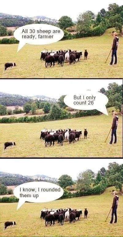 30 Mind-blowing Puns To Get You Through The Day