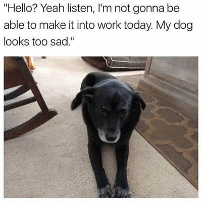 30 Relatable And Hilarious Office Memes To Share With Your