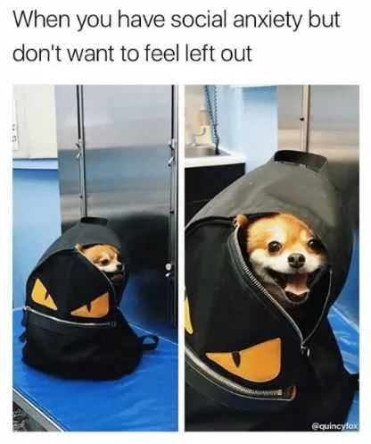 25 Funny Anxiety Memes For Anyone Who's A Resident Of The State Of Anxiety