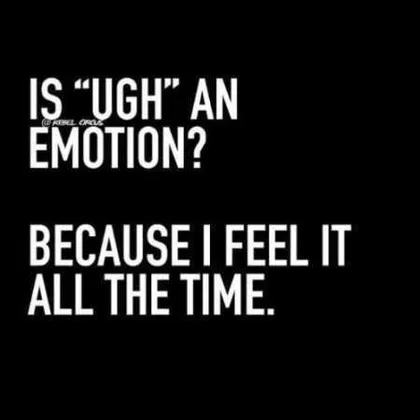 33 Of The Funniest Quotes On The Internet | The Funny Beaver