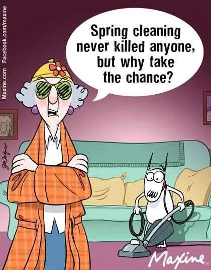 24 Funny Pictures About Spring Cleaning