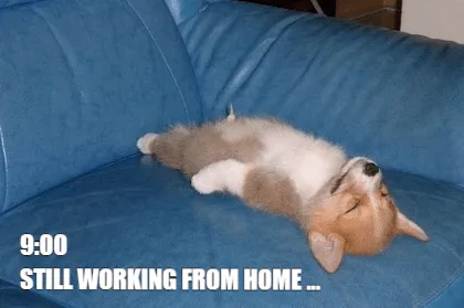 Funny Work From Home Memes | The Funny Beaver