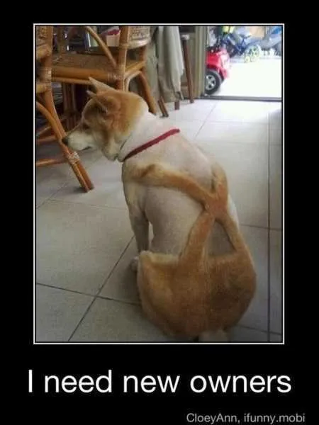 40 Hilarious Pictures