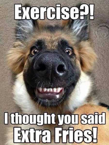 36 VERY Funny Pictures You Will Enjoy.