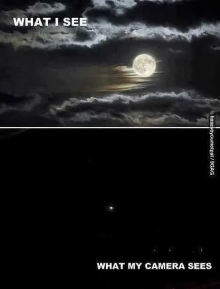 36 VERY Funny Pictures You Will Enjoy.