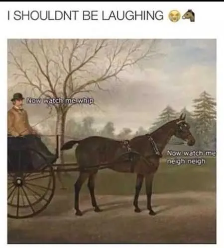 39 Super Hilarious Pictures LOL Funny - The Funny Beaver