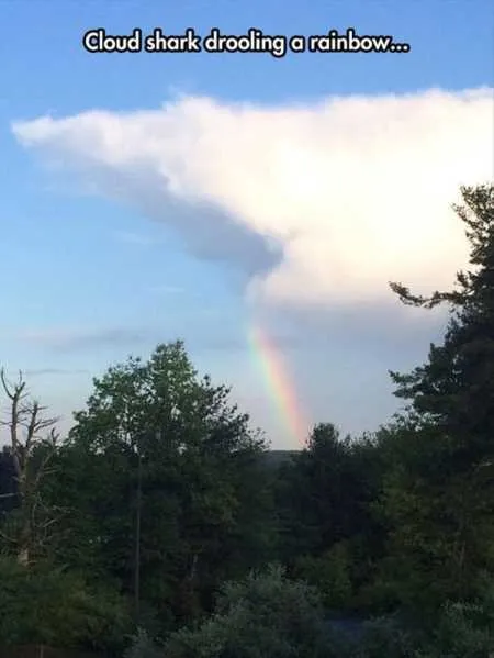 36 Of The Best Funny Pics Ever - Seriously | The Funny Beaver