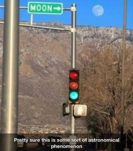 36 Of The Best Funny Pics Ever - Seriously | The Funny Beaver