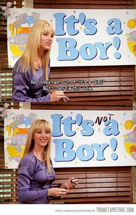 40 Funniest Pictures - Funny Pictures - The Funny Beaver