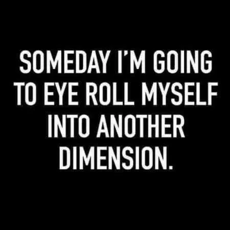 40 Funniest Quotes Ever - Funny Quotes, Funny Sayings