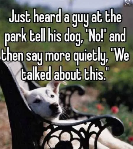 40 Of The Funniest Pics Ever | The Funny Beaver #funniestpics