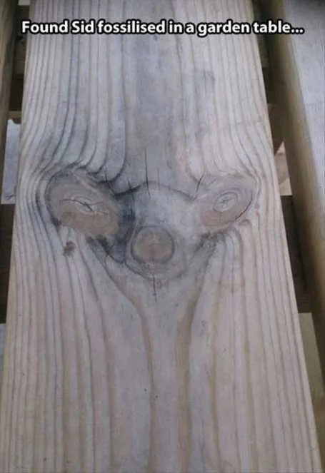 20 Of The Funniest Pictures You Will See Today