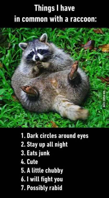 20 Of The Funniest Pictures You Will See Today