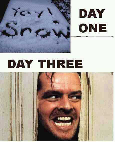 43 Snow Day Memes Because It's A Fricking Blizzard Out There