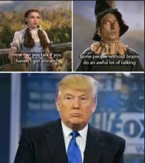 16 Election Memes That'll Empower You To Vote