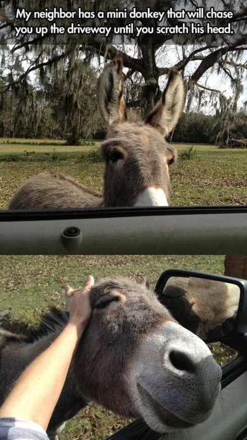 22 Of The Funniest Pictures Ever