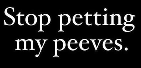 30 More Hilarious Quotes You'll Love | The Funny Beaver
