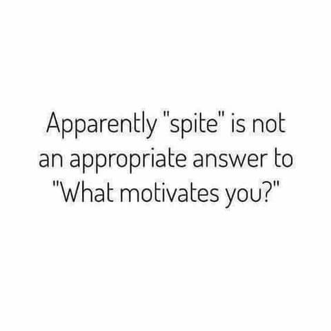 30 More Hilarious Quotes You'll Love | The Funny Beaver