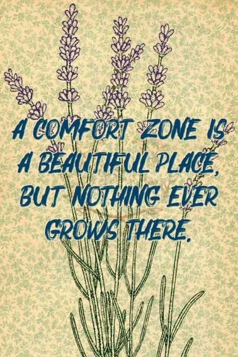 19 Inspirational Quotes With Great Messages | The Funny Beaver