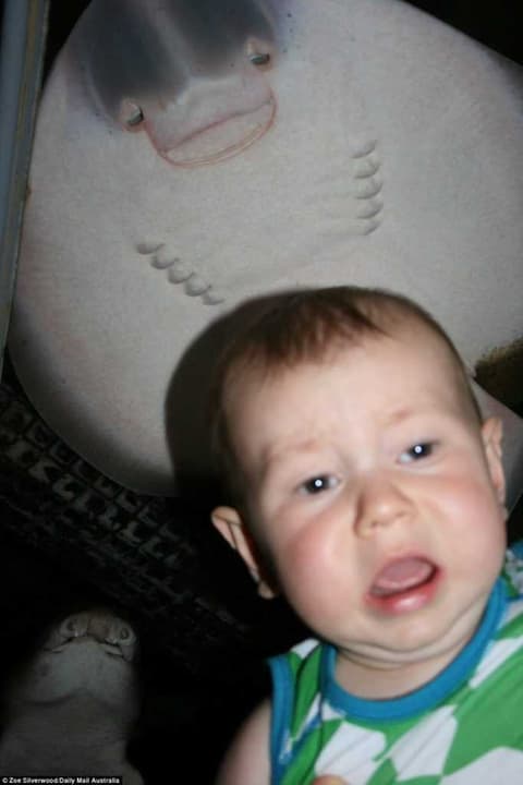 28 Funny Kid Pictures You Just Have To See | The Funny Beaver