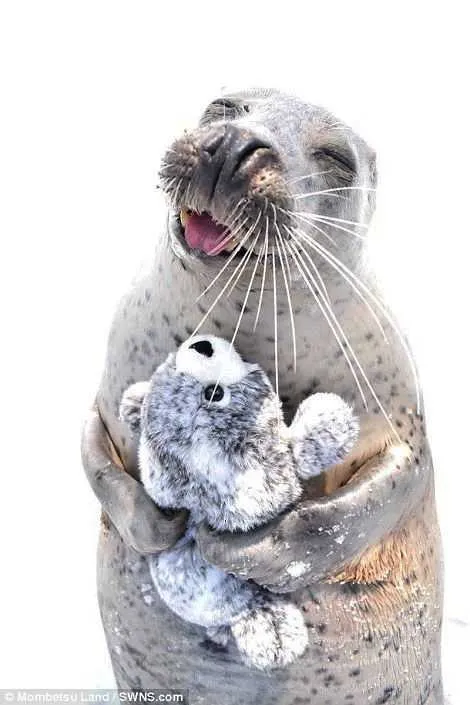 22 Just Adorable Animals Pictures For You