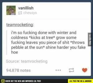 52 Winter Memes That Makes You Love Fall More