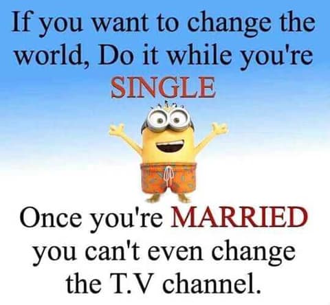 37 Hilarious Minion Memes And Pictures Clean Enough For Kids