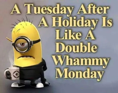 37 Hilarious Minion Memes And Pictures Clean Enough For Kids
