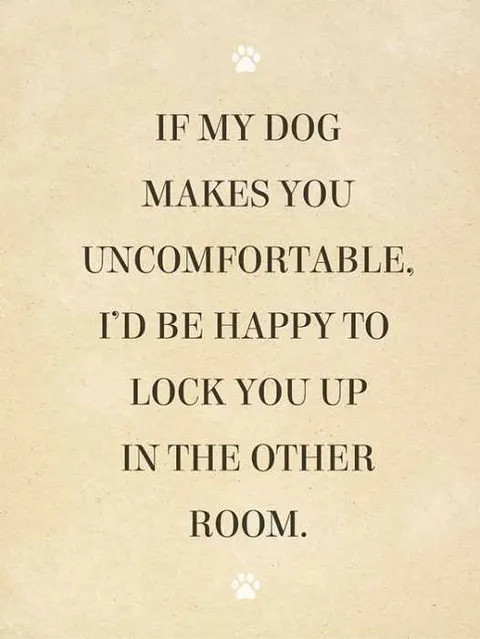 23 Amazing Animal Lover Quotes For Dog And Animal Lovers