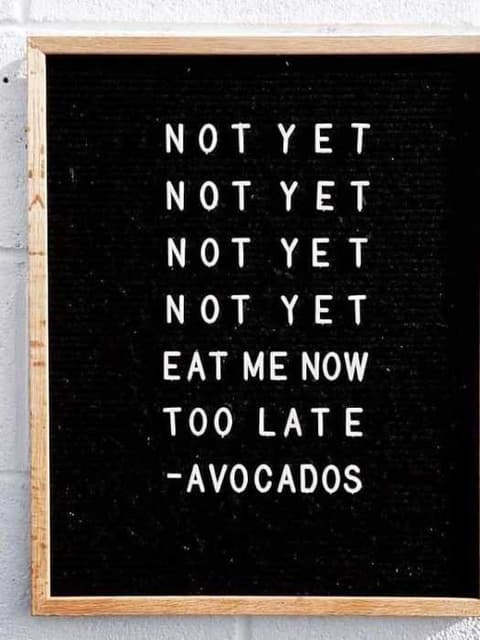 30 Hilarious Letterboard Quotes | The Funny Beaver