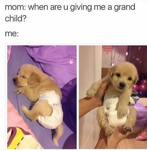 34 Hilarious And Funny Pictures To Liven Up Your Weekend