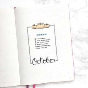 Bullet Journal For Tracking Goals - Best Bujo Pages - The Funny Beaver