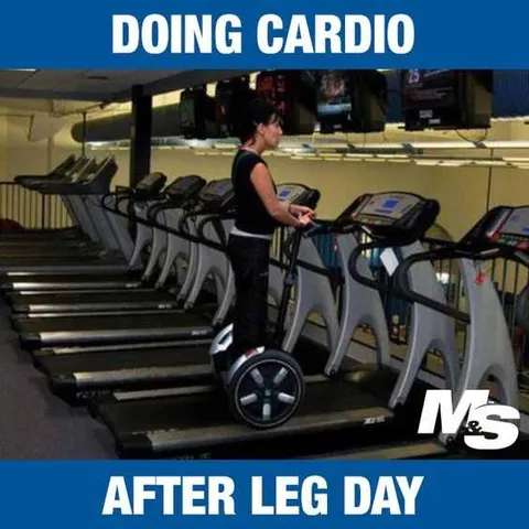 36 Hilarious Leg Day Memes For When You're Sore And Feel Like Dying