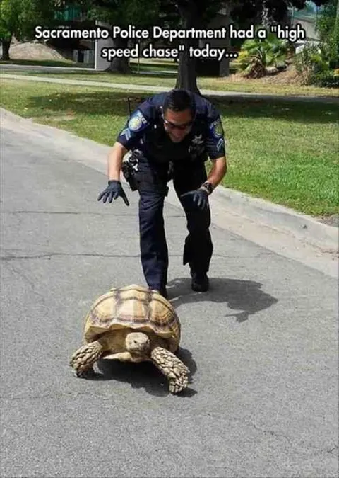 35 Funny ROFL Memes And Pictures