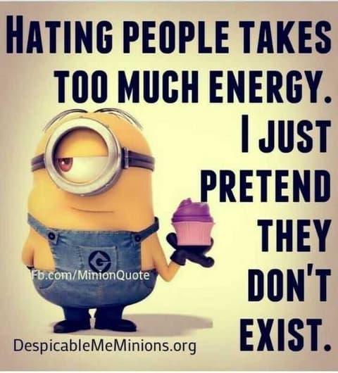 31 Snappy And Funny Minion Quotes