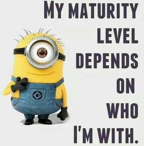 31 Snappy And Funny Minion Quotes