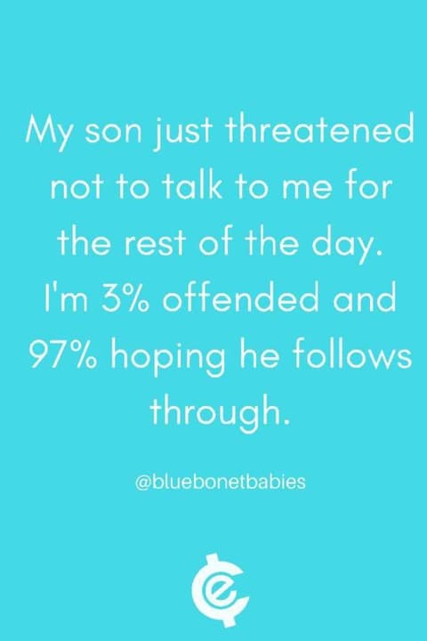 34 Funny Quotes About Parenting