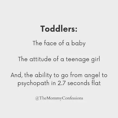 20 Hilarious Shareable Funny Quotes
