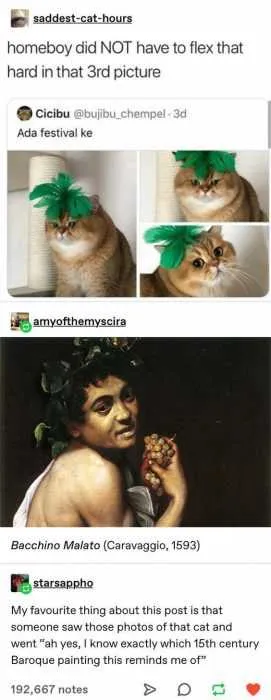 33 Funny And Hilarious Animal Memes That Will Make Anyone Have A Great Day