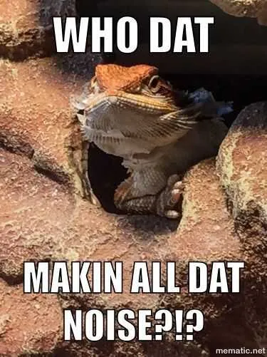 33 Funny And Hilarious Animal Memes That Will Make Anyone Have A Great Day