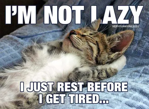 35 Of The Laziest Funny Animals You've Ever Seen