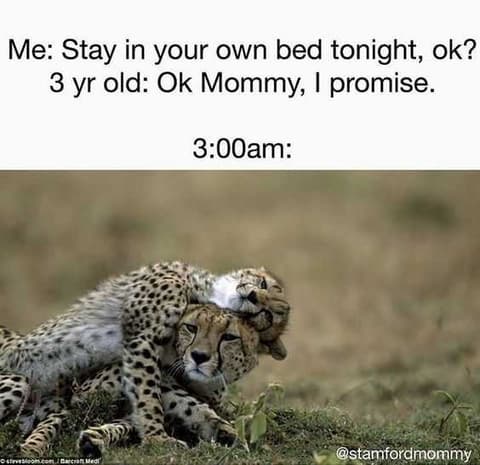 35 Funny Mom Memes Because You Deserve A Laugh