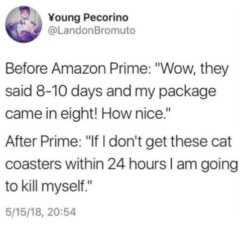 30 Funny Amazon Memes That Are Pretty Prime | The Funny Beaver