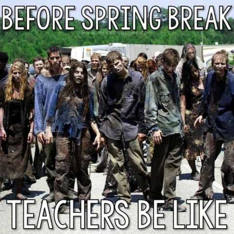 32 Funny Spring Break Memes | The Funny Beaver