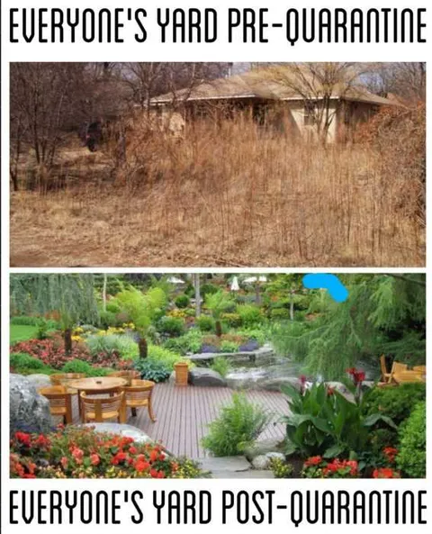 30 Home Gardening Memes For A Good Thyme | The Funny Beaver