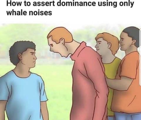 30 Ridiculous Wikihow Memes Because They Don't Get Enough Attention