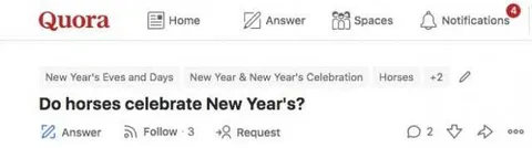 These Are 20 Of The Weirdest Or Dumbest Questions Ever Asked On Quora ...