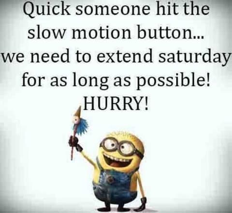 30 Funny Weekend Quotes Cause Cheers To The Freaking Weekend | The ...