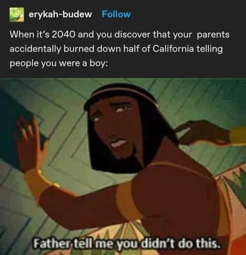 30 Funny Wildfire Memes That Will Burn A Hole In Your Retina